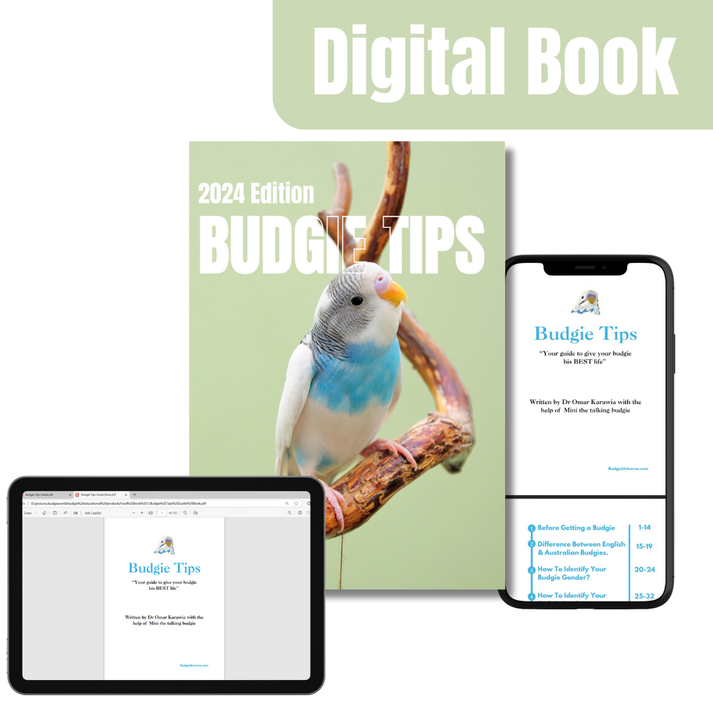 Budgie Tips Guide Book 2024 Edition – BudgieUniverse